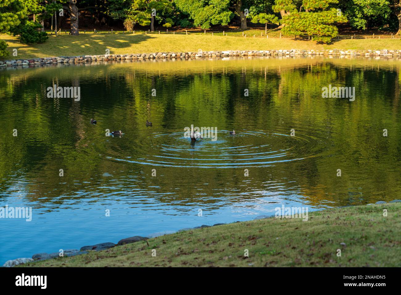 Hamarikyu gardens tokyo Banque de photographies et d’images à haute ...