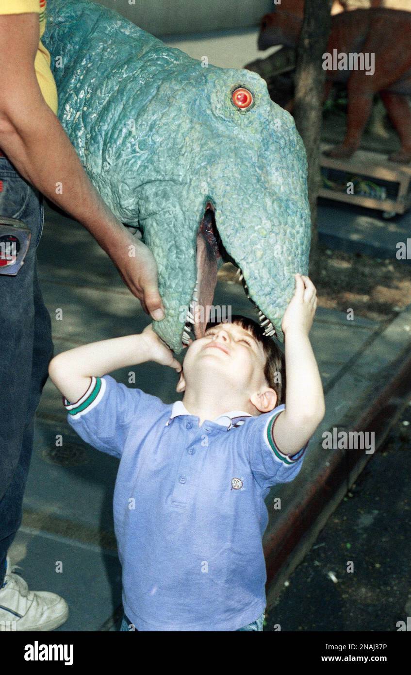 Four-year-old Spencer Mondshein gets a good close look into the jaws of ...
