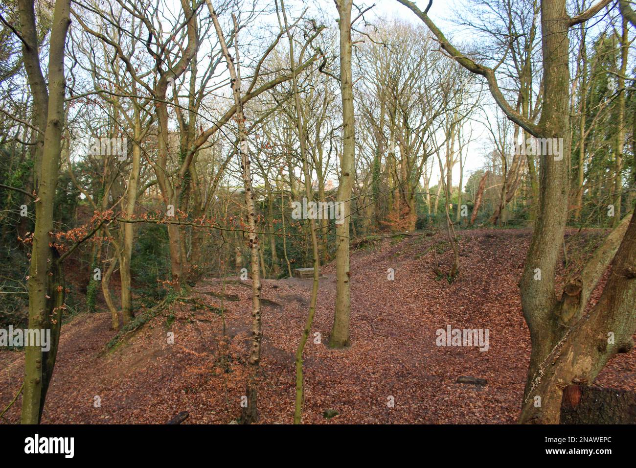 Delph town Banque de photographies et d’images à haute résolution - Alamy