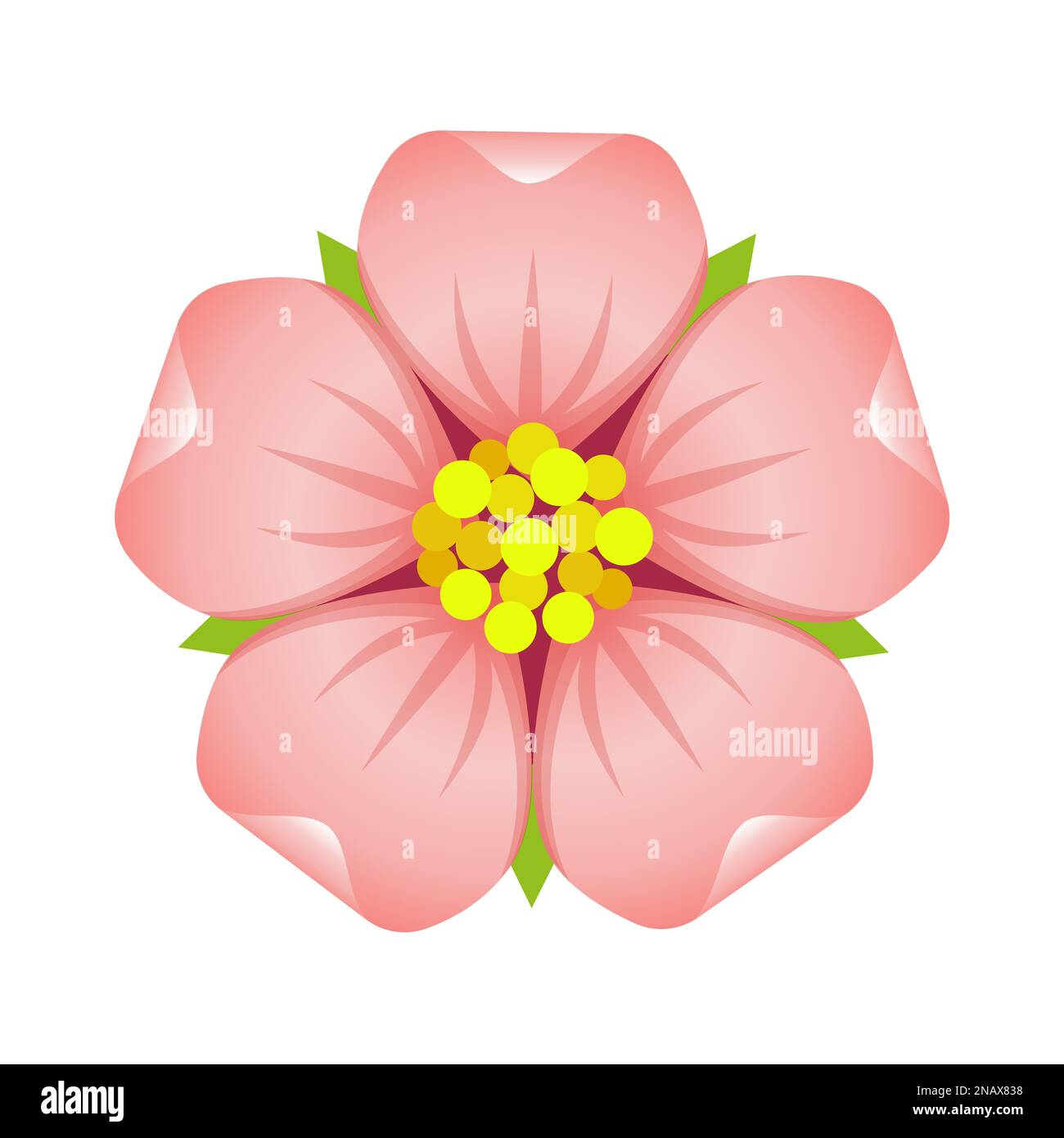 Fleur de Sakura, une fleur isolée sur un fond de fantaisie Image ...