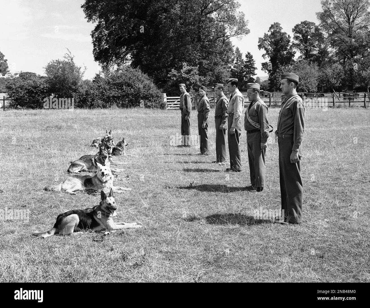 A bright idea from a Belgian officer in the last war has inspired one ...