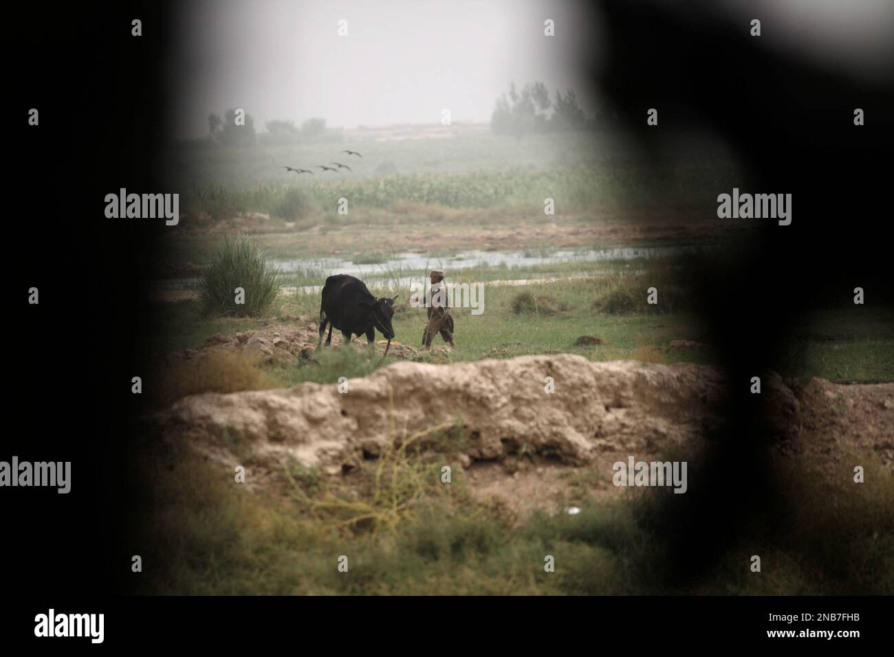 In this Aug. 26, 2011 photo, seen from a firing position, a boy tends ...