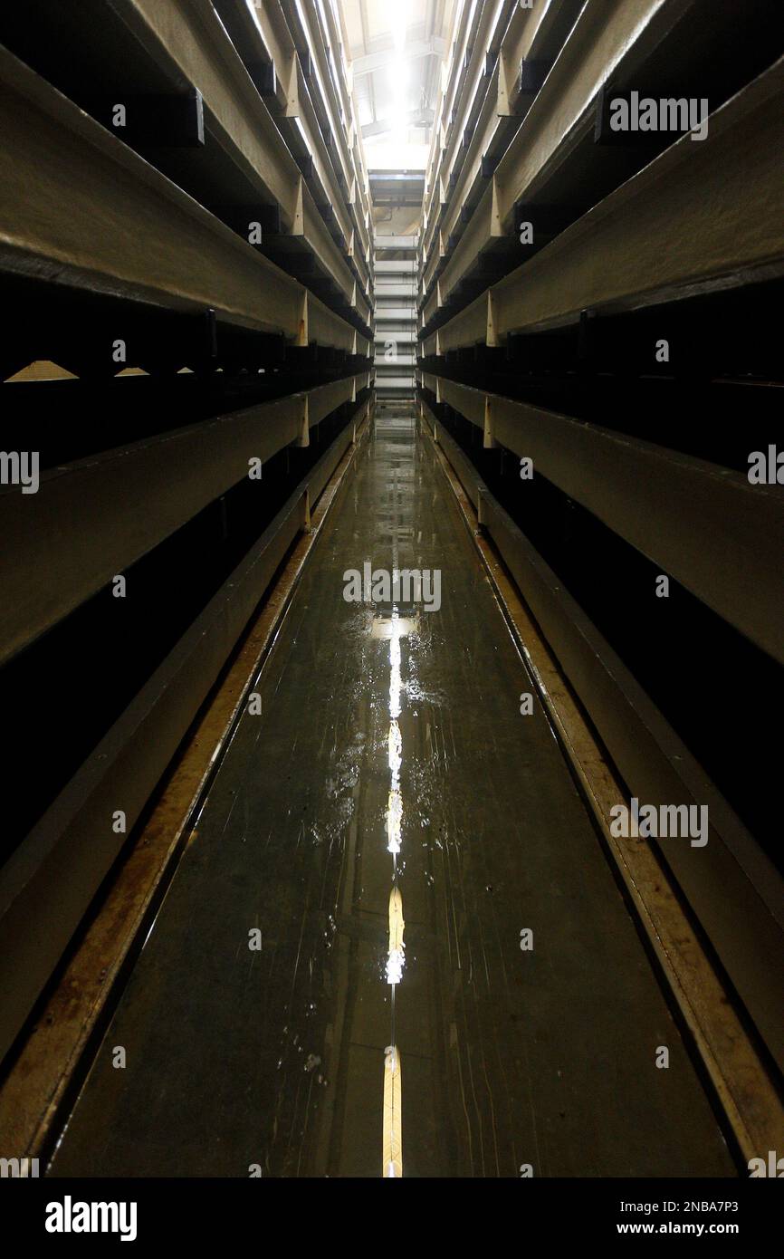 An eight-storey high-rise tank is seen at Seafarm, a fish farm in ...