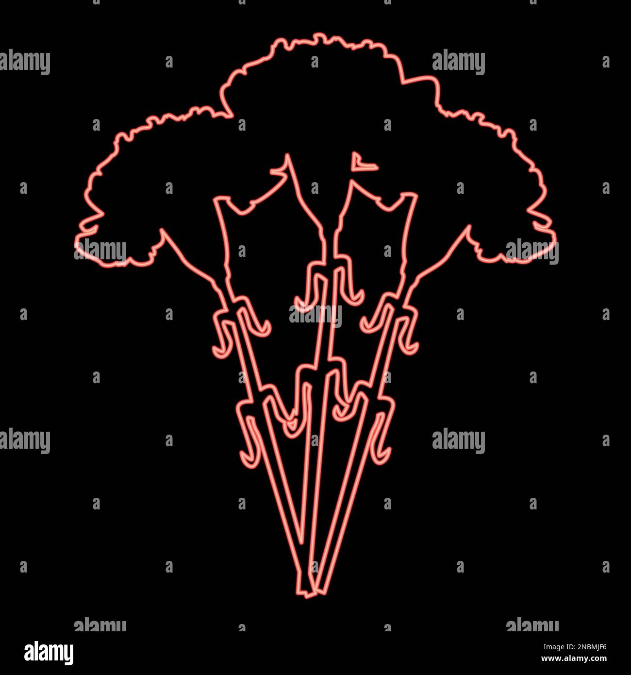 Bouquet de fleurs de couleur rouge de la carnation illustration ...