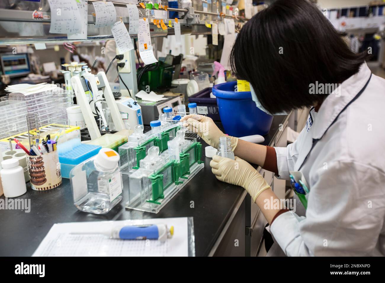 Un scientifique ou chercheur travaille dans un laboratoire scientifique ...