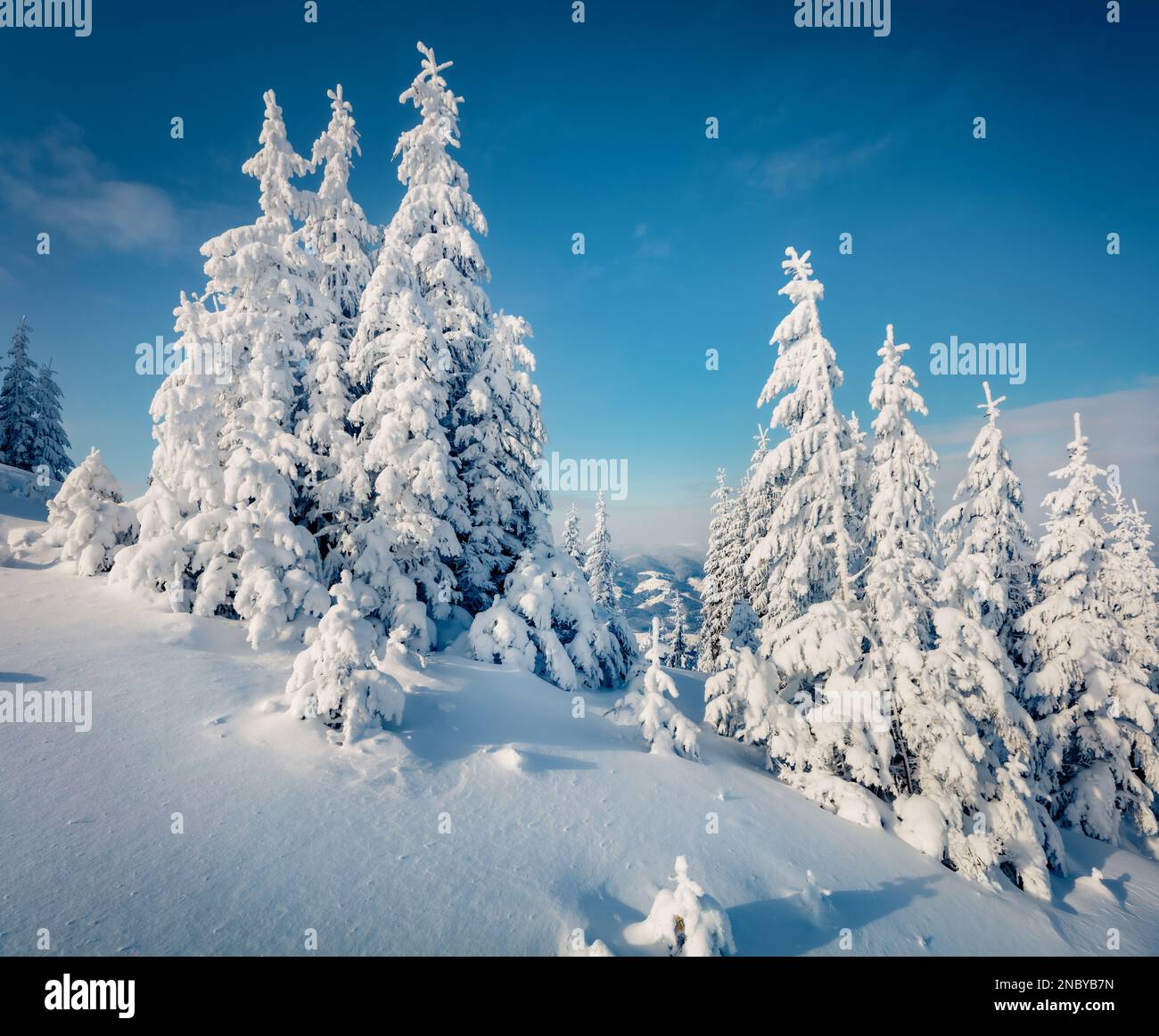 Paysage d'hiver intact. Vue matinale glacielle sur les montagnes ...