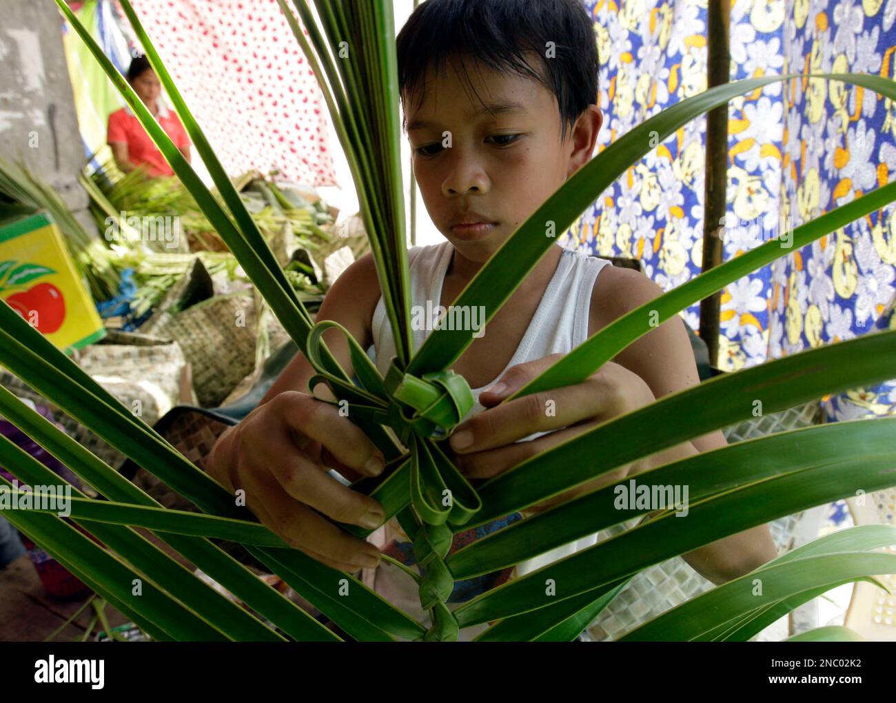 Rickyboy Virginio 9 years-old, shapes a palm frond into a different ...