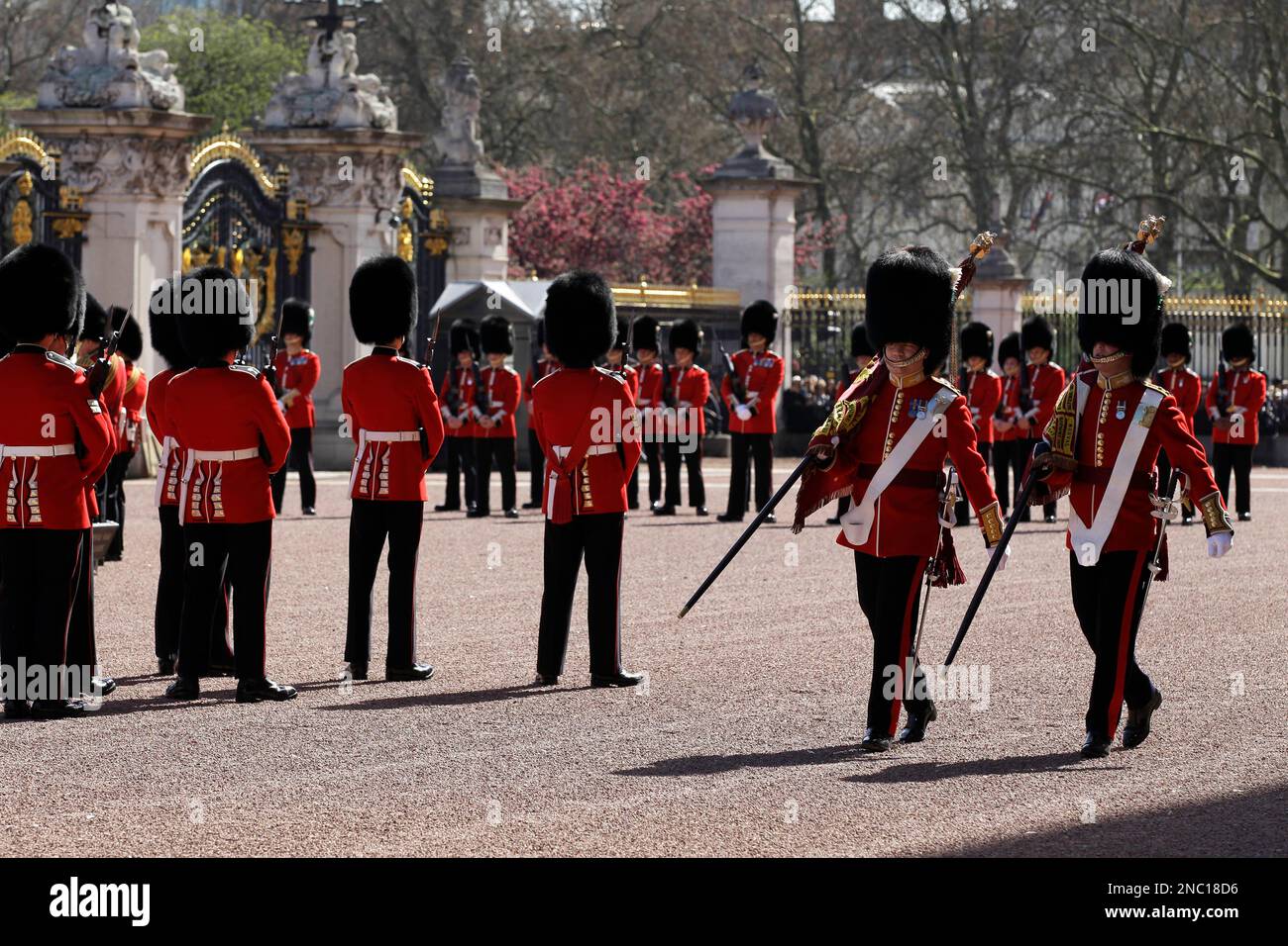 Welsh Guards perform their changing of guard ceremony at Buckingham ...