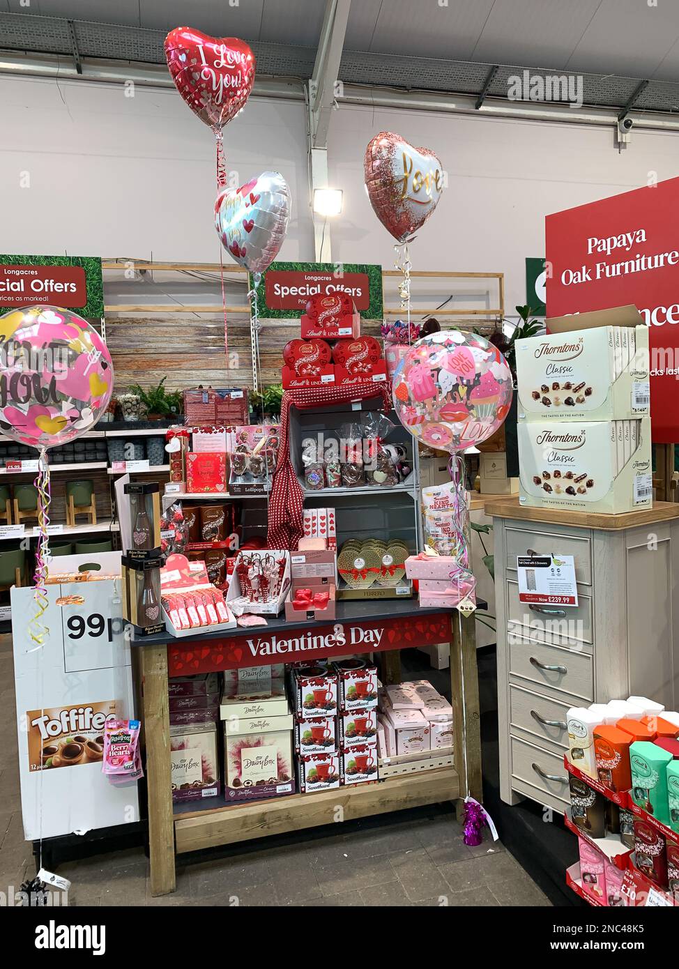 Bagshot, Surrey, Royaume-Uni. 14th février 2023. Le Longacres Garden ...