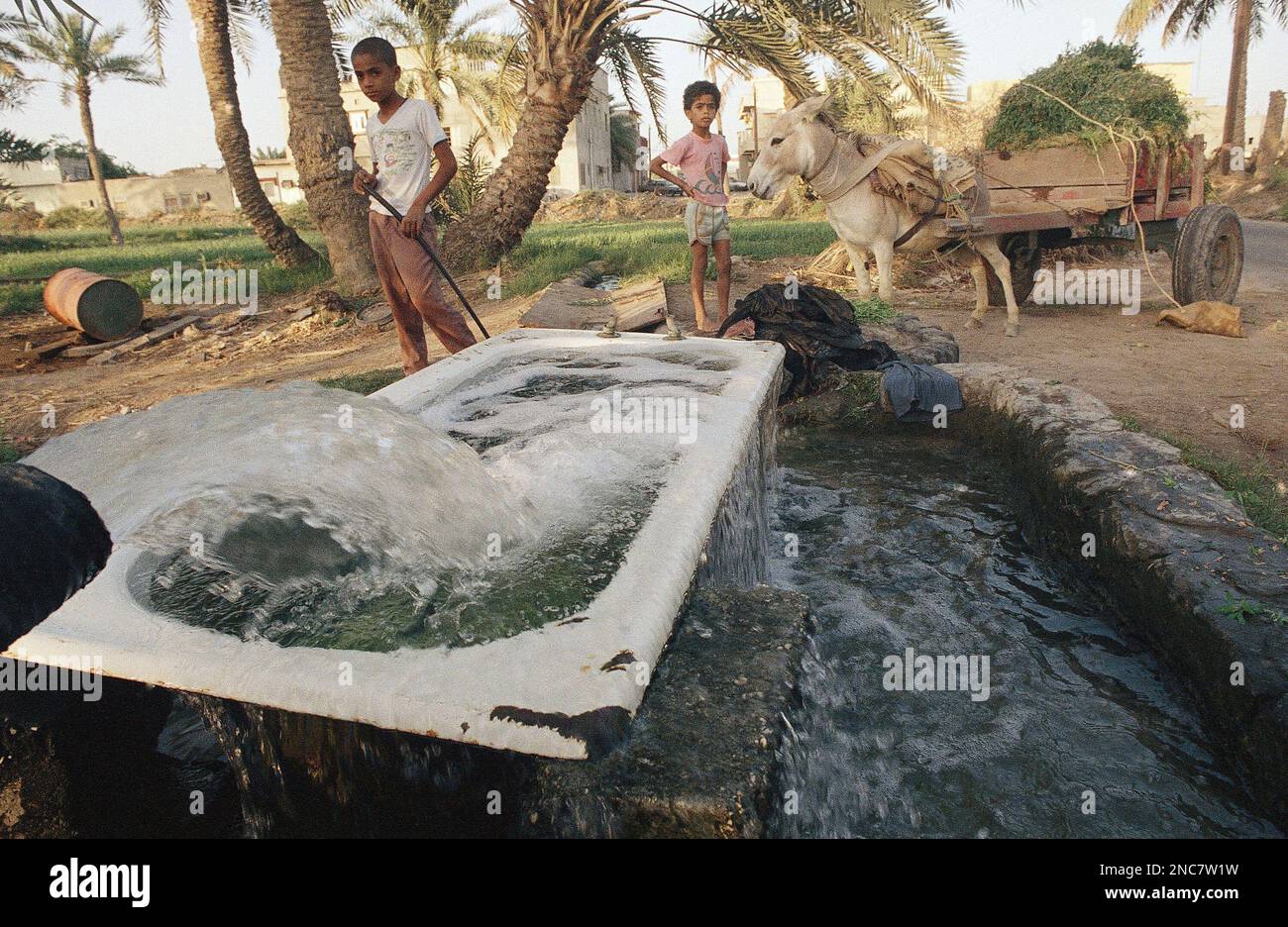 Water pumped up from an underground well into an old bath tub in a west ...