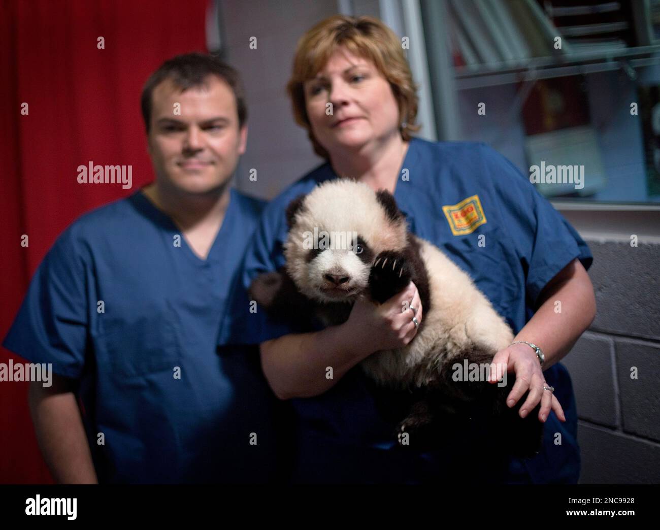 Dr. Hayley Murphy, director of veterinary services at Zoo Atlanta ...