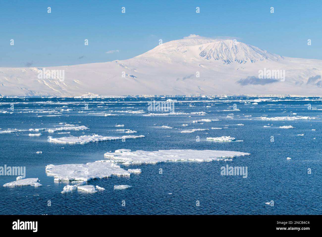 Antarctique, île Ross. Vue sur la mer de Ross du mont Erebus, deuxième ...
