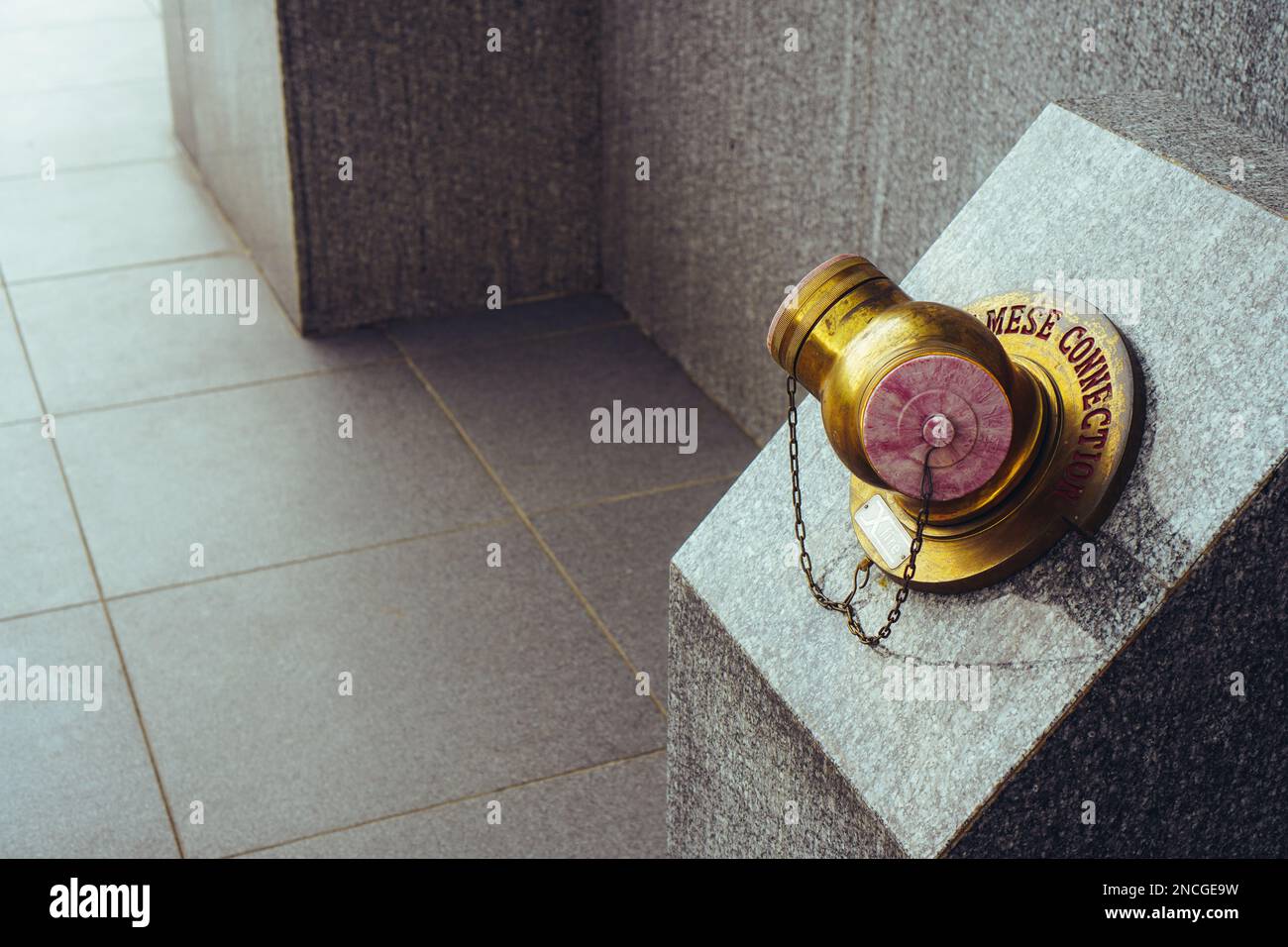 Valve siamoise Banque de photographies et d’images à haute résolution ...