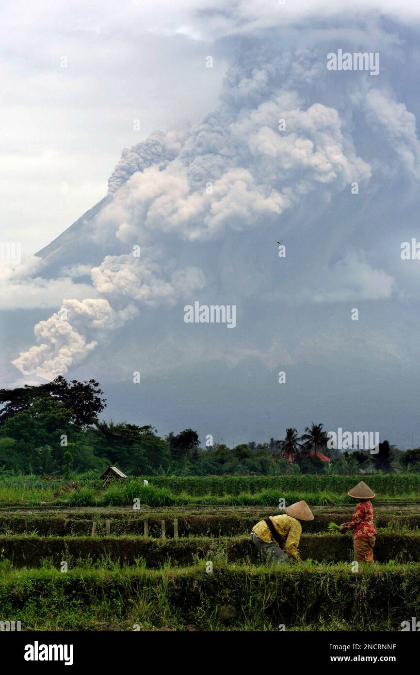 Farmers work on a field as Mount Merapi erupts in Cangkringan ...