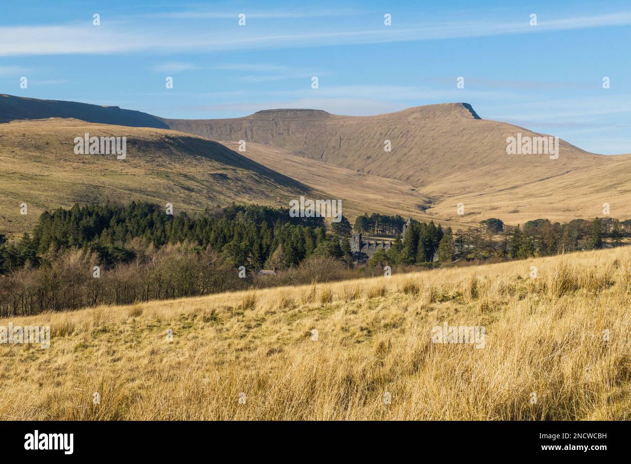 Maïs du et Pen y Fan sur l'horizon des balises centrales de Brecon ...