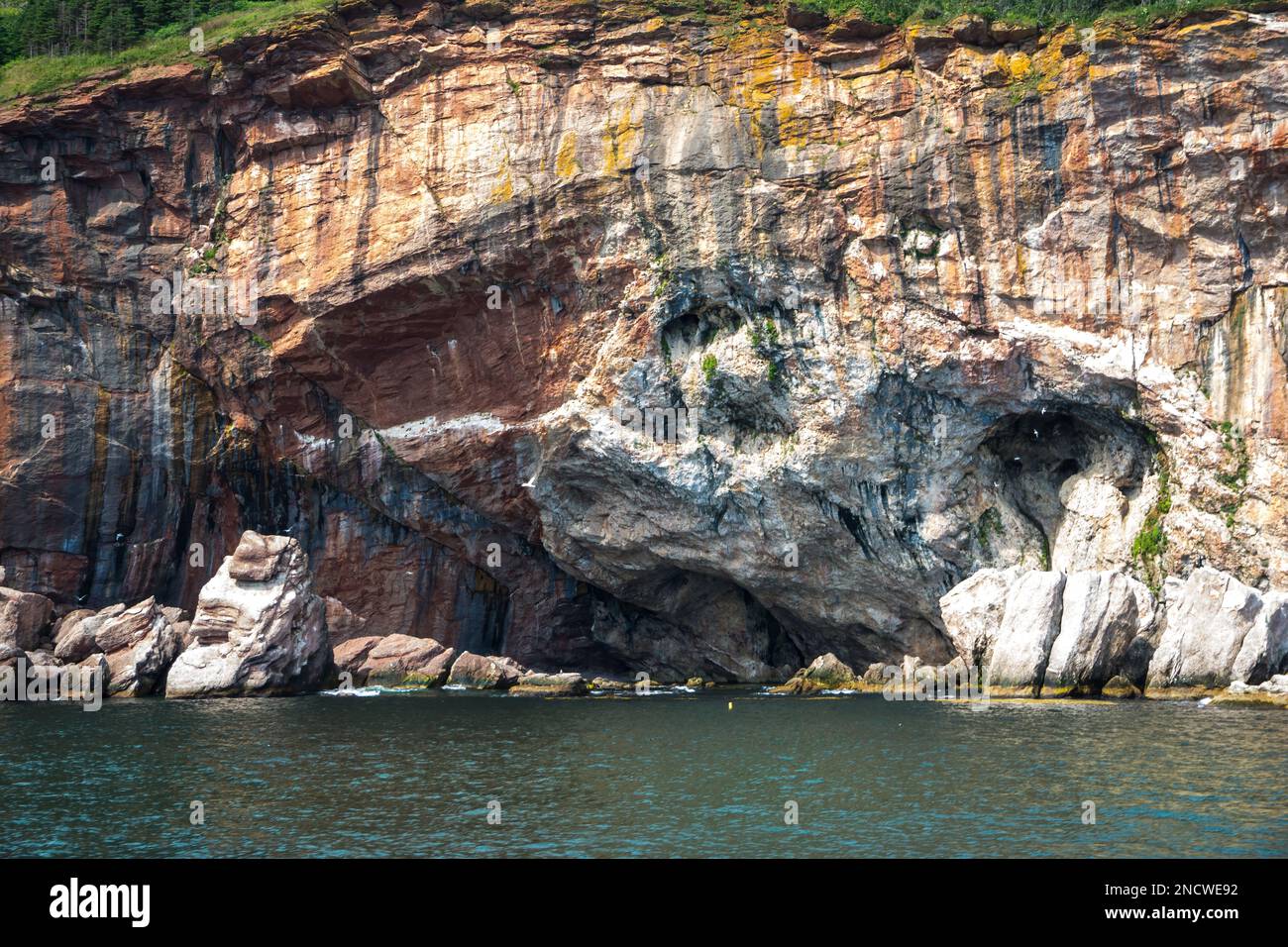 Vue sur l'île Bonaventure, une île protégée dans le golfe du Saint ...