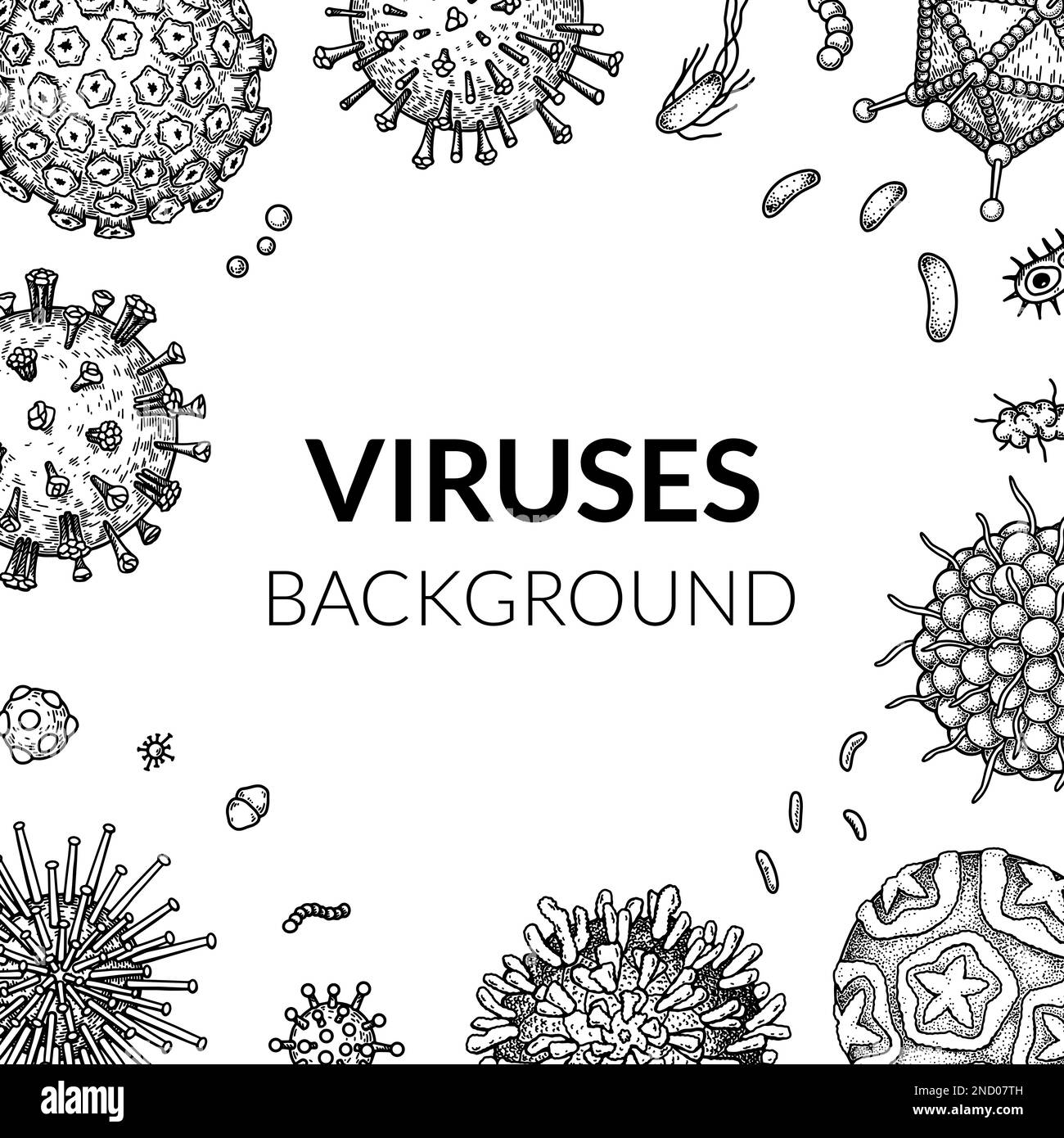 Microbiologie des bactéries Banque d'images noir et blanc - Alamy