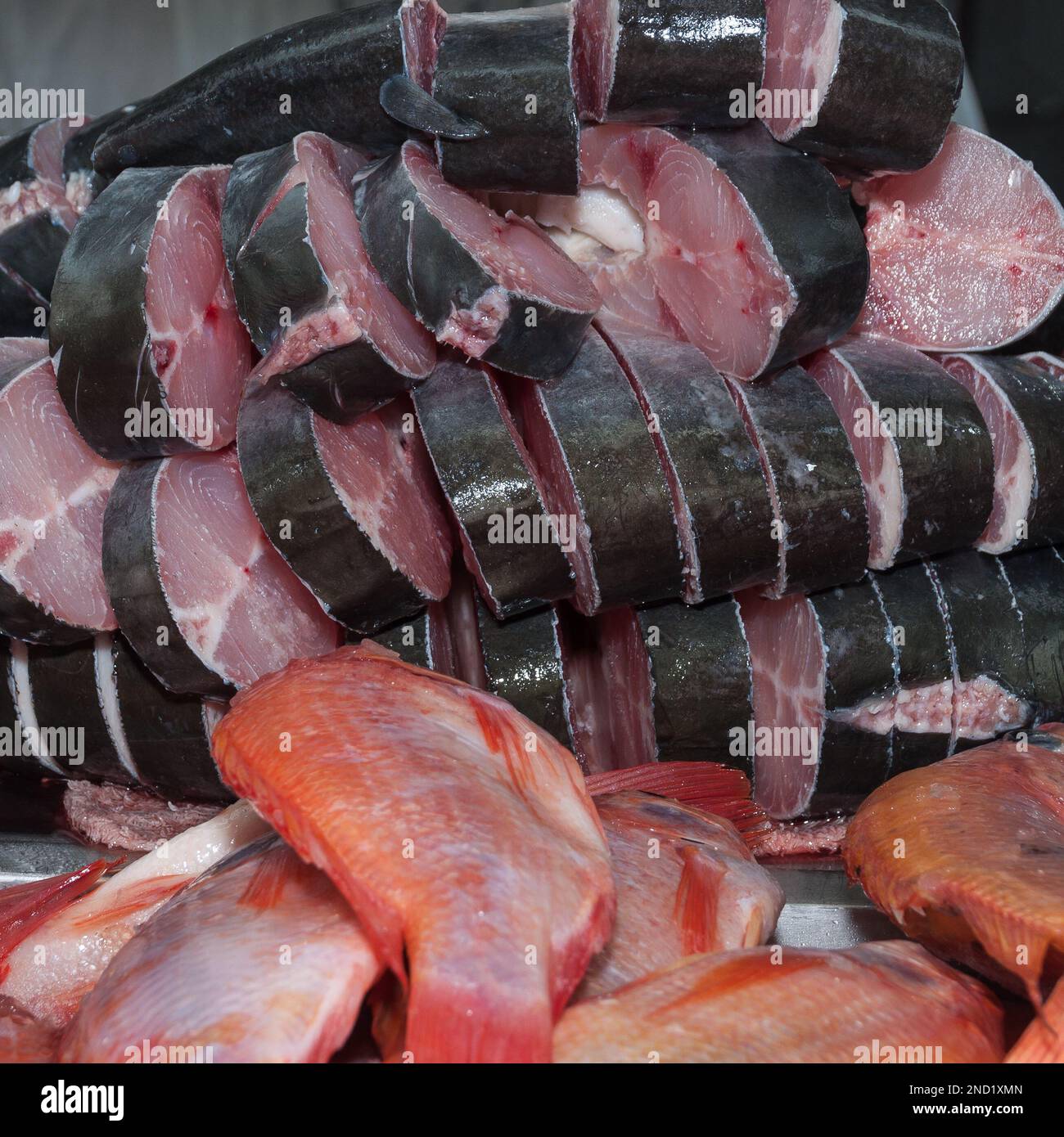 Poisson basa Banque de photographies et d’images à haute résolution - Alamy