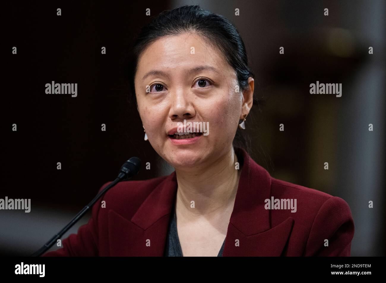 ÉTATS-UNIS - FÉVRIER 15 : Bonny Lin, directrice du projet China Power ...