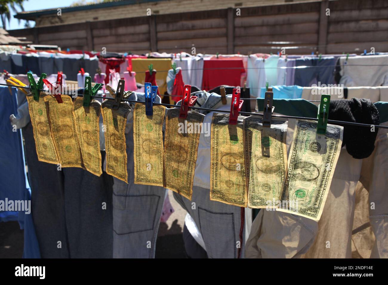 U.S one dollar notes hang on a drying line after been washed in Harare ...