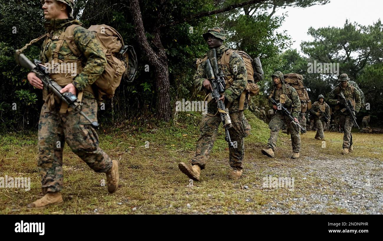 ÉTATS-UNIS Marines avec 3D Bataillon, 4th Marines patrouillent vers un ...