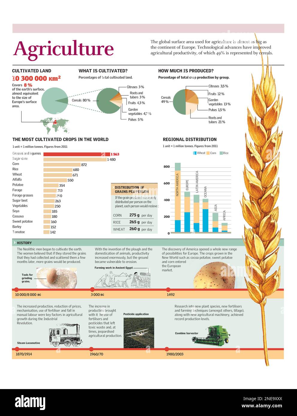 Infographie sur les cultures les plus populaires dans le monde et dans ...