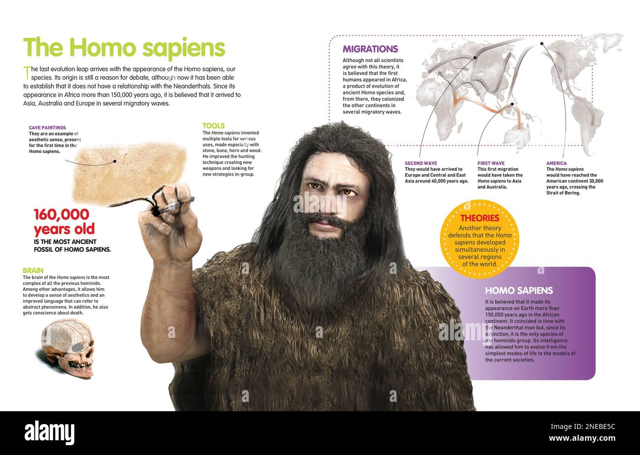 Infographie de l'Homo sapiens (apparue sur le continent africain il y a plus de 150,000 ans ...