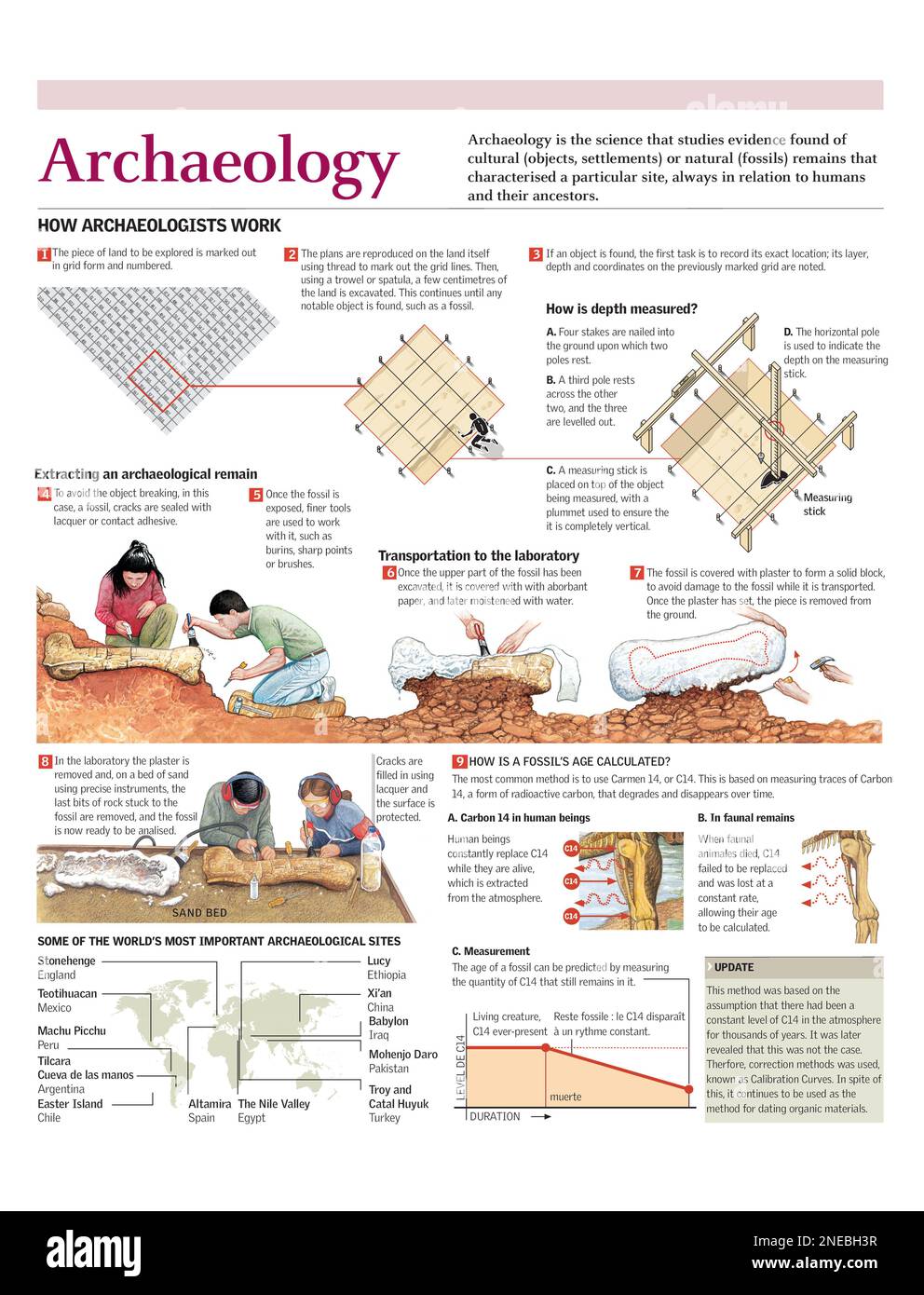 Datation des fossiles Banque de photographies et d’images à haute ...