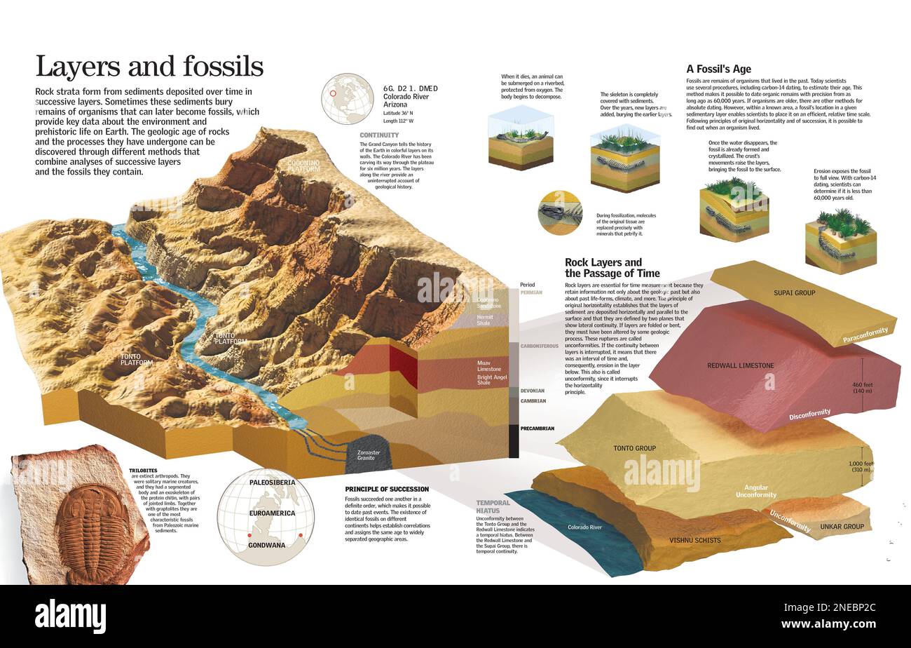 Infographie de l'analyse des strates sédimentaires du sol et des ...