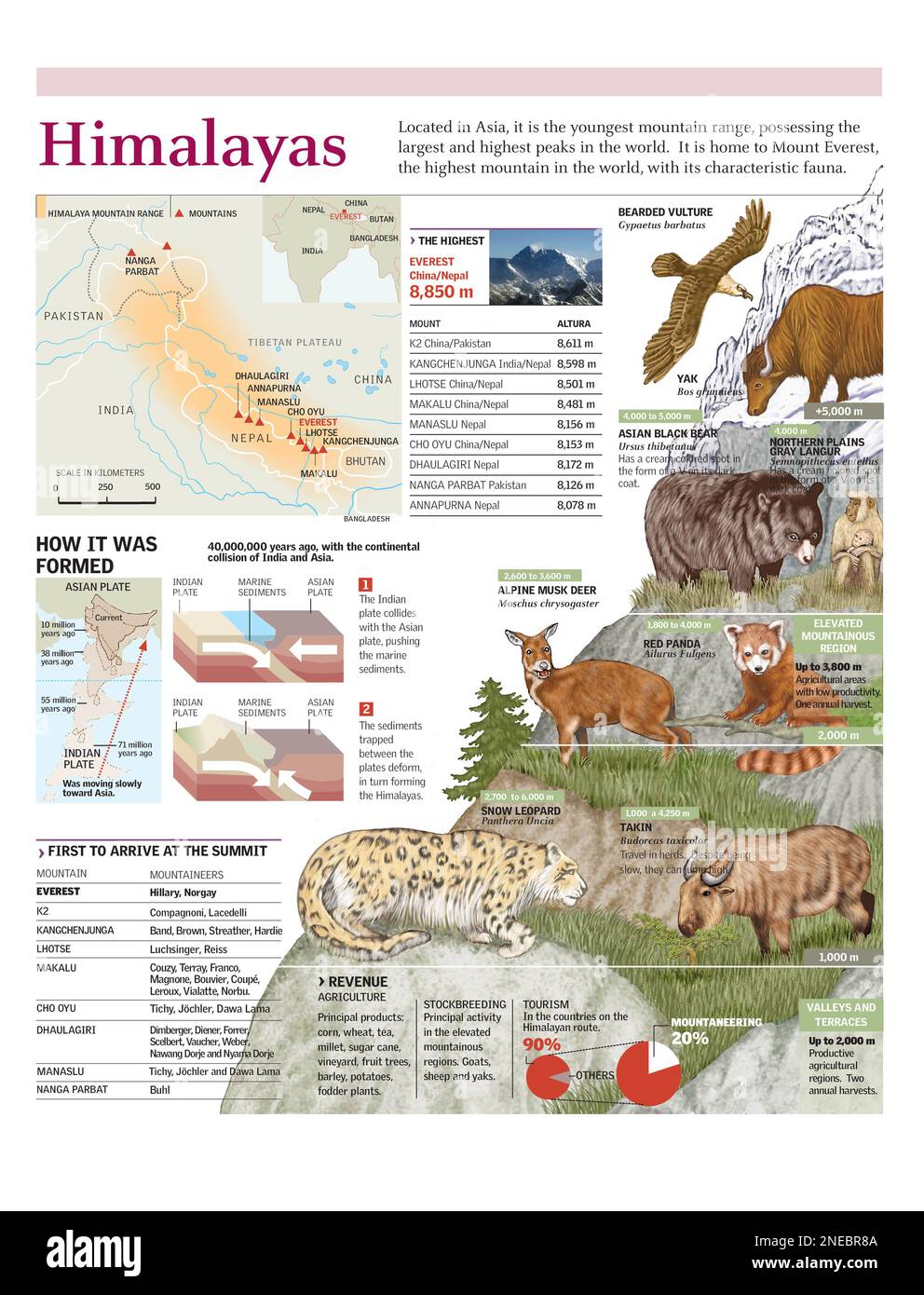 Infographies de l'emplacement, de la formation et de l'écosystème de l ...