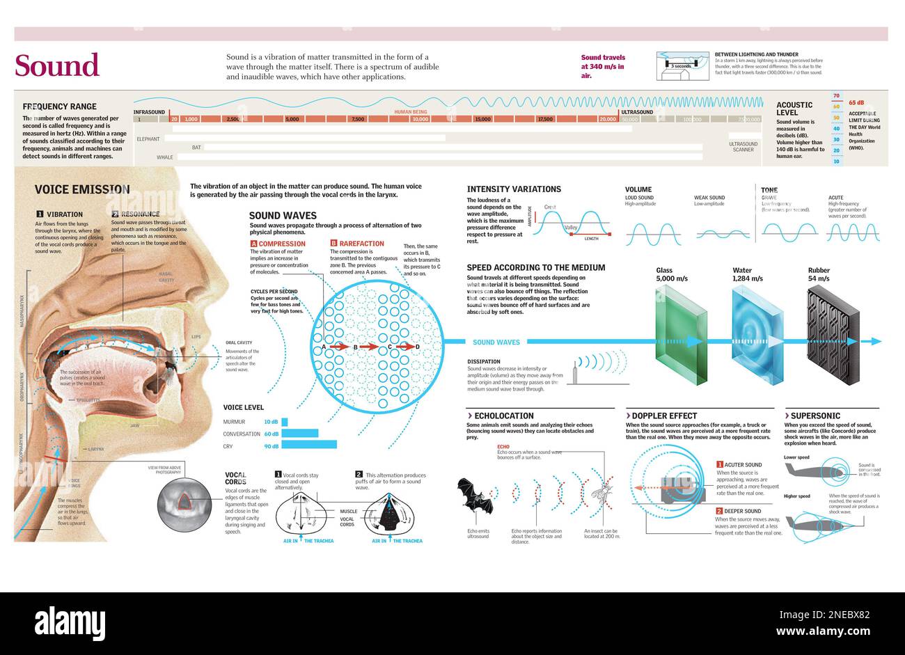Infographies des ondes sonores, comment la voix est produite ...