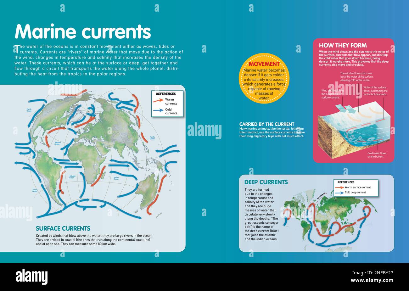 Infographie sur les types de courants marins, superficiels et profonds ...