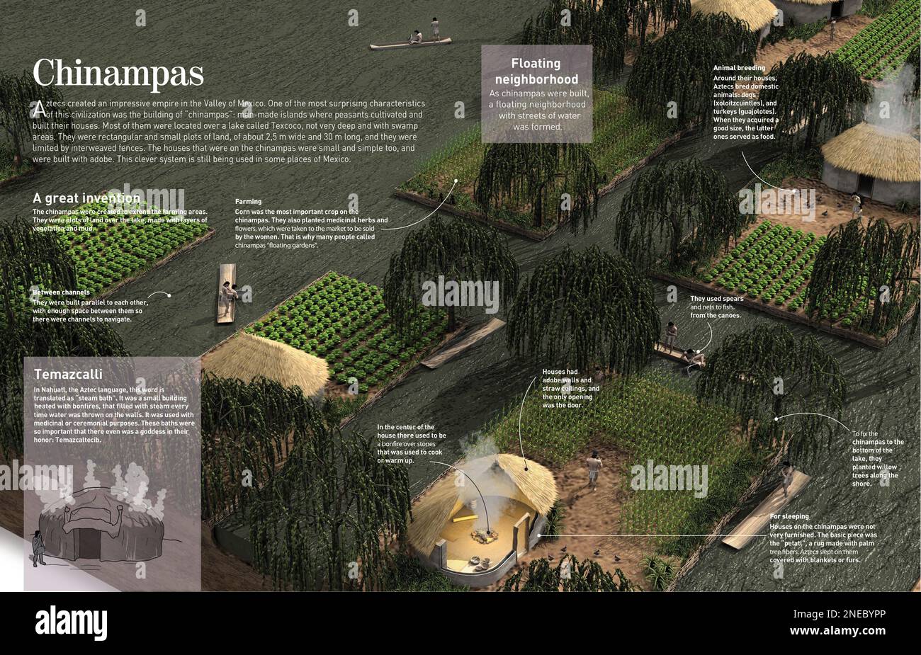 Infographie sur les Chinampas, une ancienne méthode de l'agriculture et ...