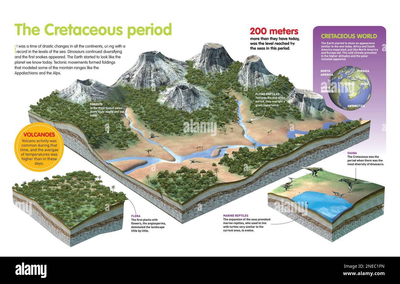 Infographie sur la période crétacée, la dernière période de l'ère ...