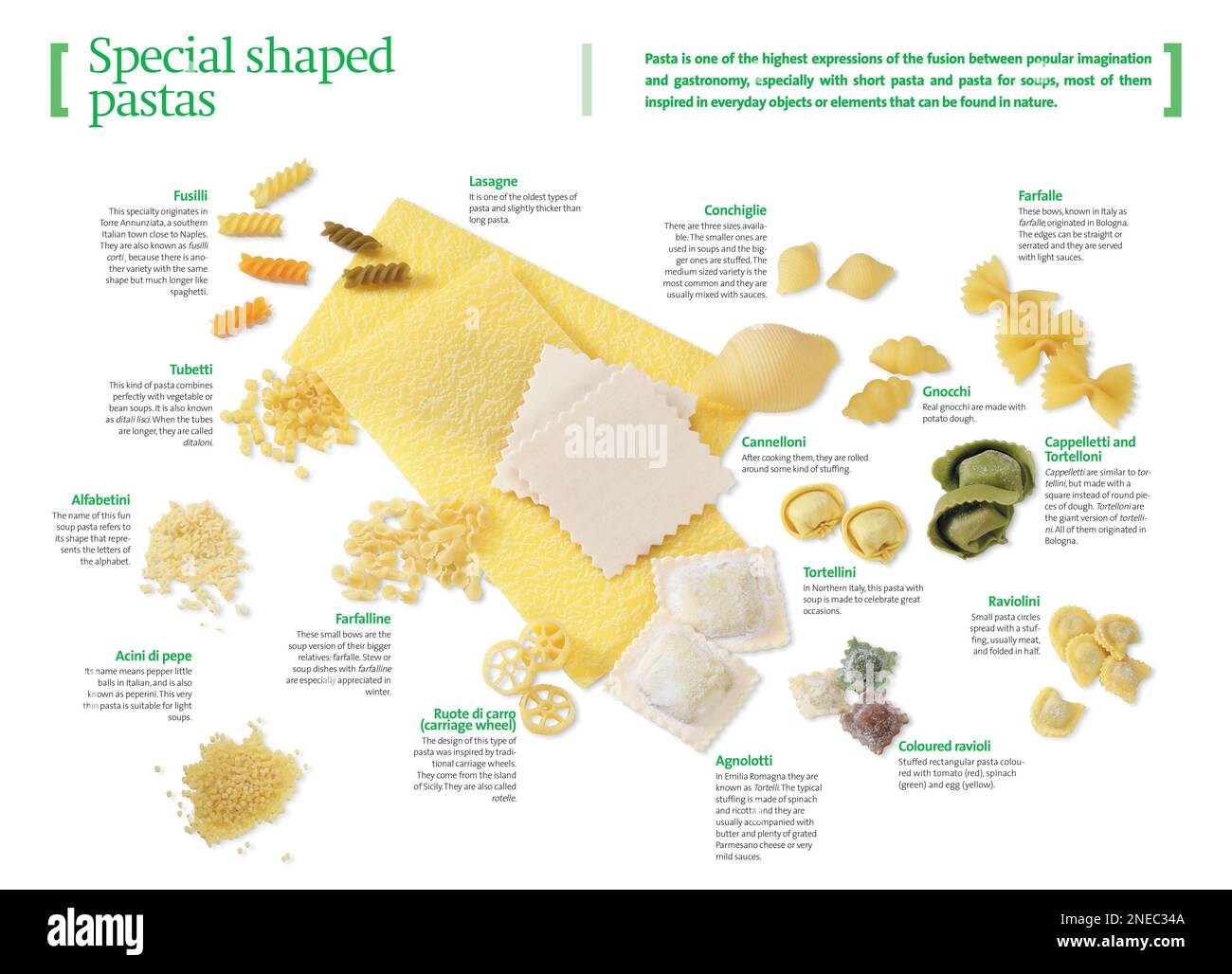 Infographies sur les différents types de pâtes italiennes aux formes ...