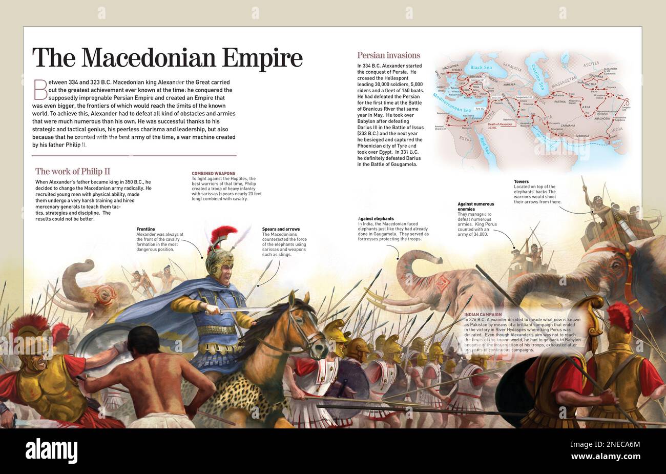 Infographie sur l'armée macédonienne (334-323 av. J.-C.), une machine ...