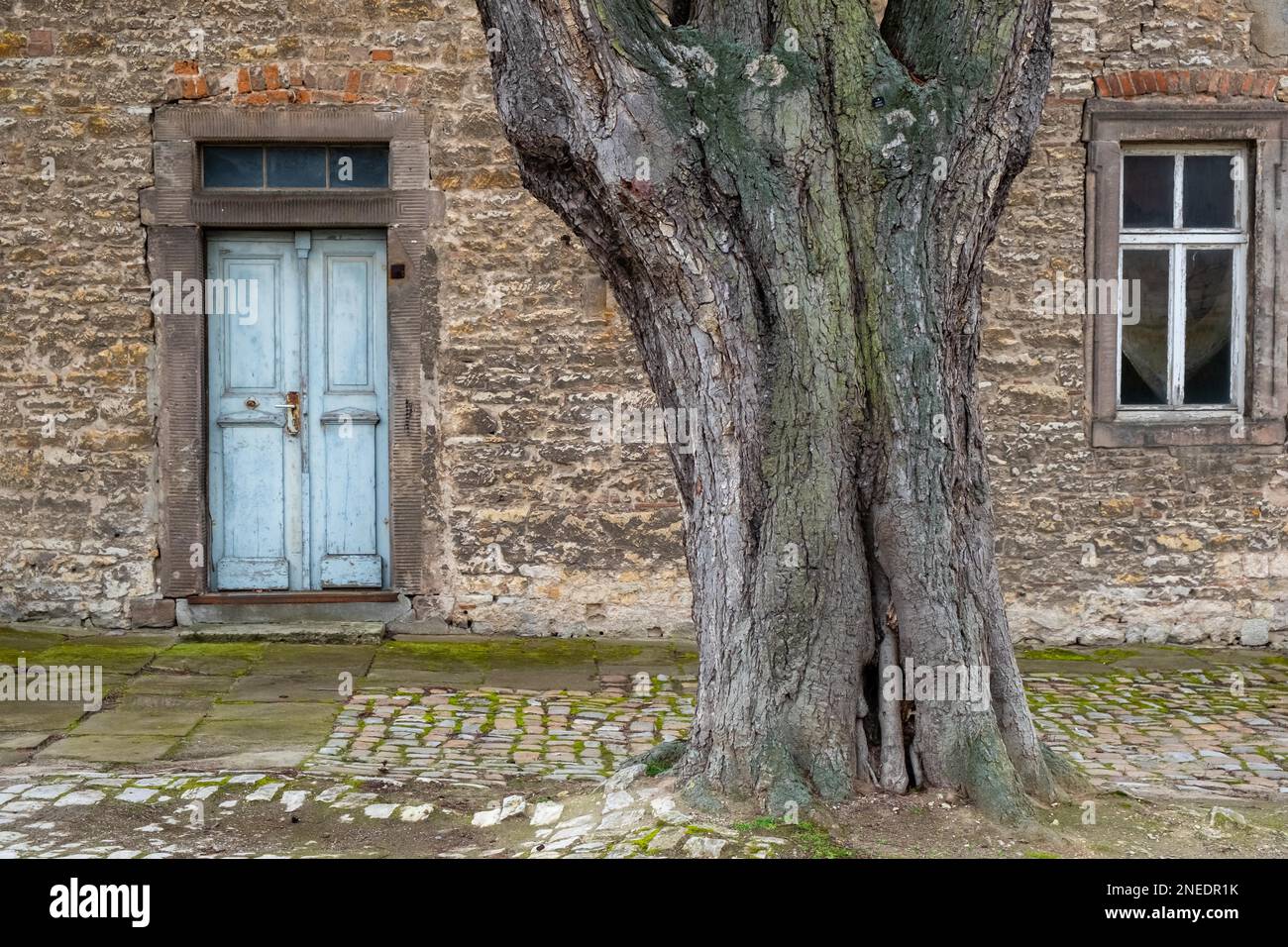Porte de tronc d'arbre Banque de photographies et d’images à haute ...