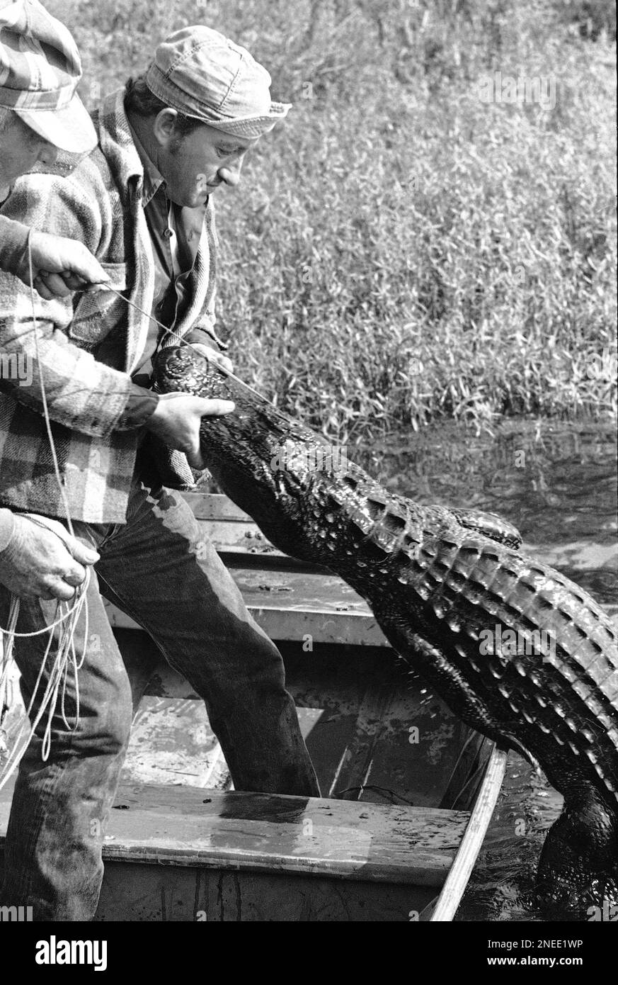 The morning sun is still just an orange ball hanging at the black water ...