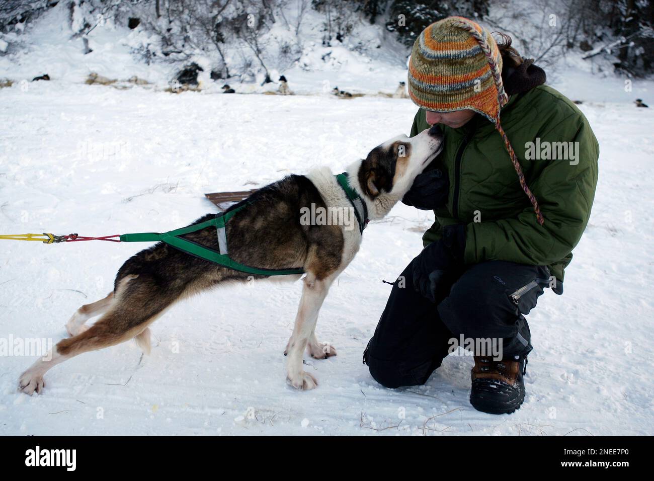 Musher Quin Iten, son of Iditarod sled dog race veteran Ed Iten, kisses ...