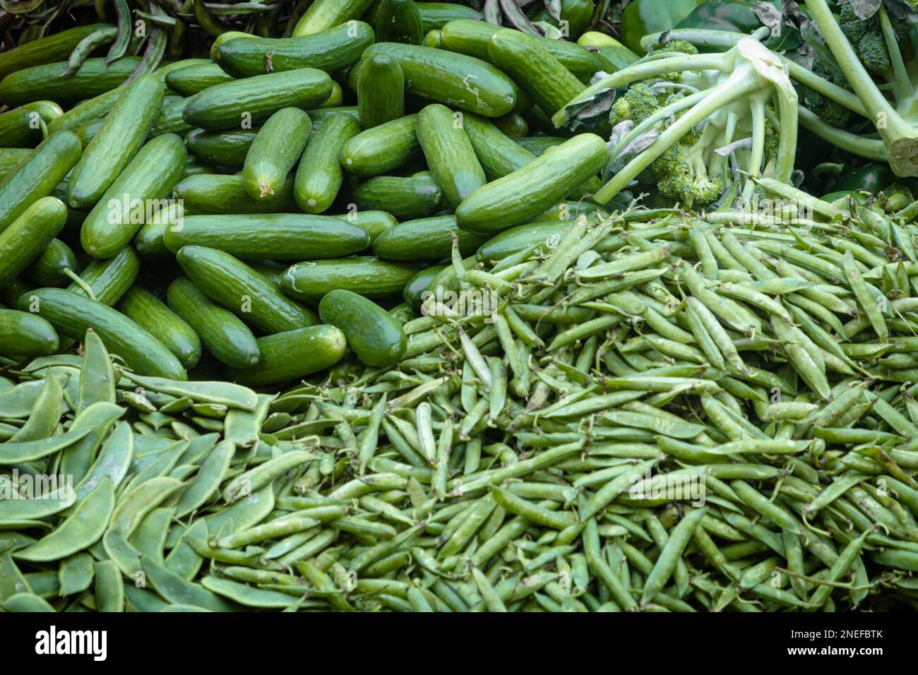 Tas de légumes verts comme le concombre, le brocoli, les pois verts et les fèves dans un chariot ...