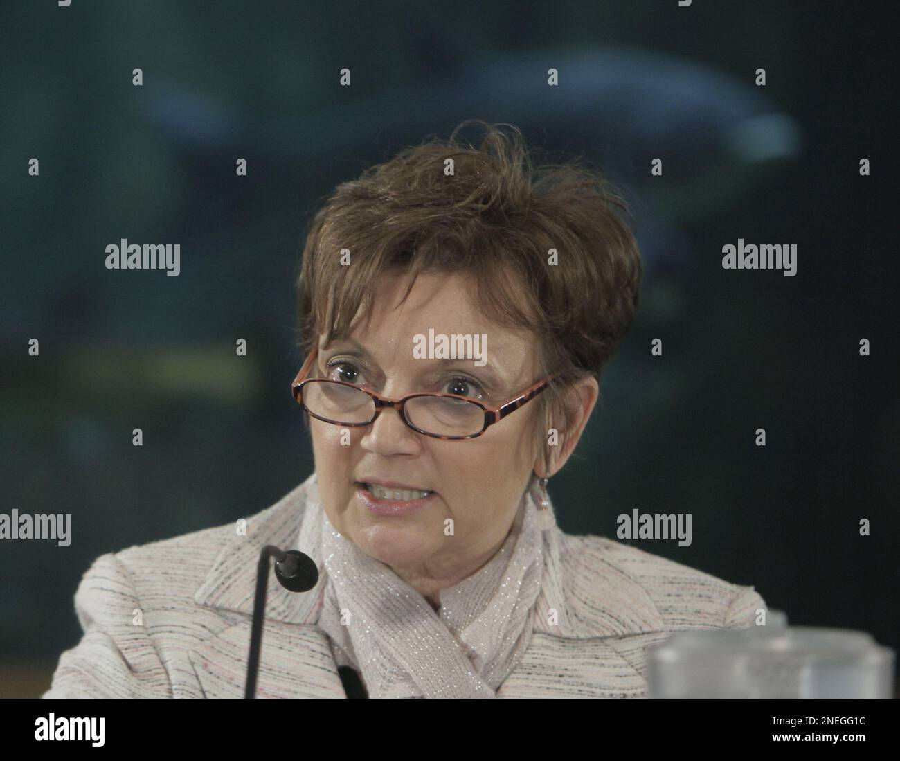 U.S. Rep. Debbie Halvorson D-Ill, asks questions during an Asian Carp ...