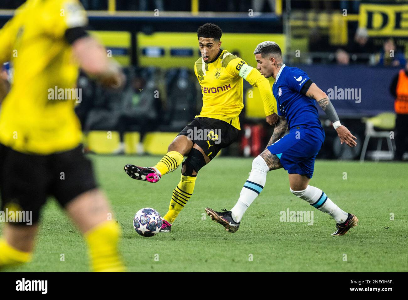 Dortmund, signal Iduna Park, 15.02.23: Jude Bellingham de Dortmund (L ...