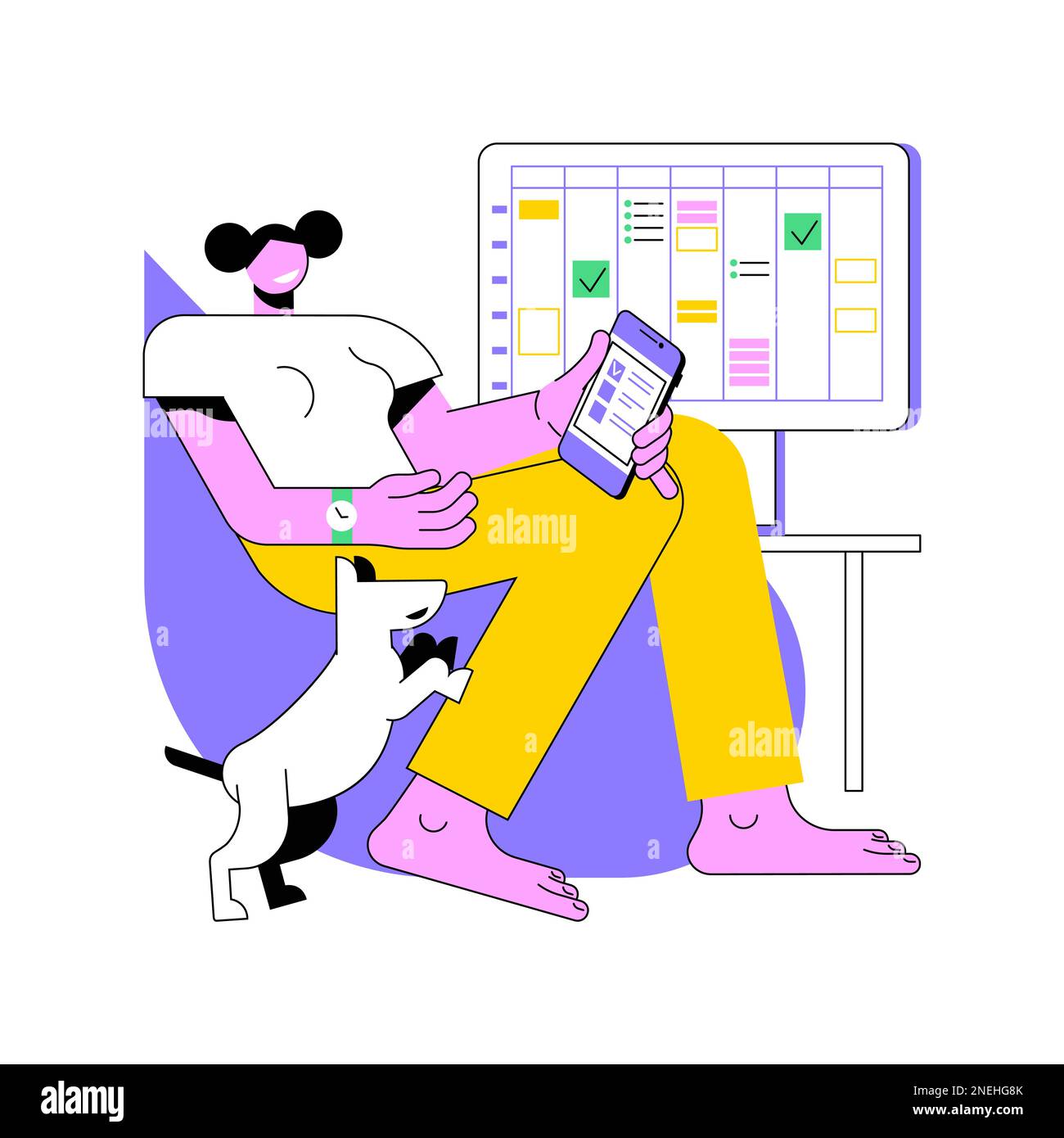 Les systèmes de planification ont isolé des illustrations vectorielles ...