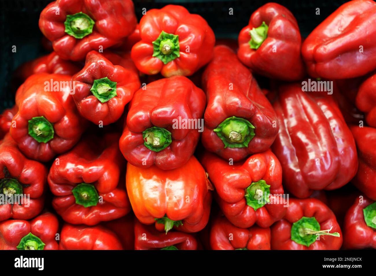 Fond de poivrons rouges. Poivrons sur le comptoir d'un marché ...