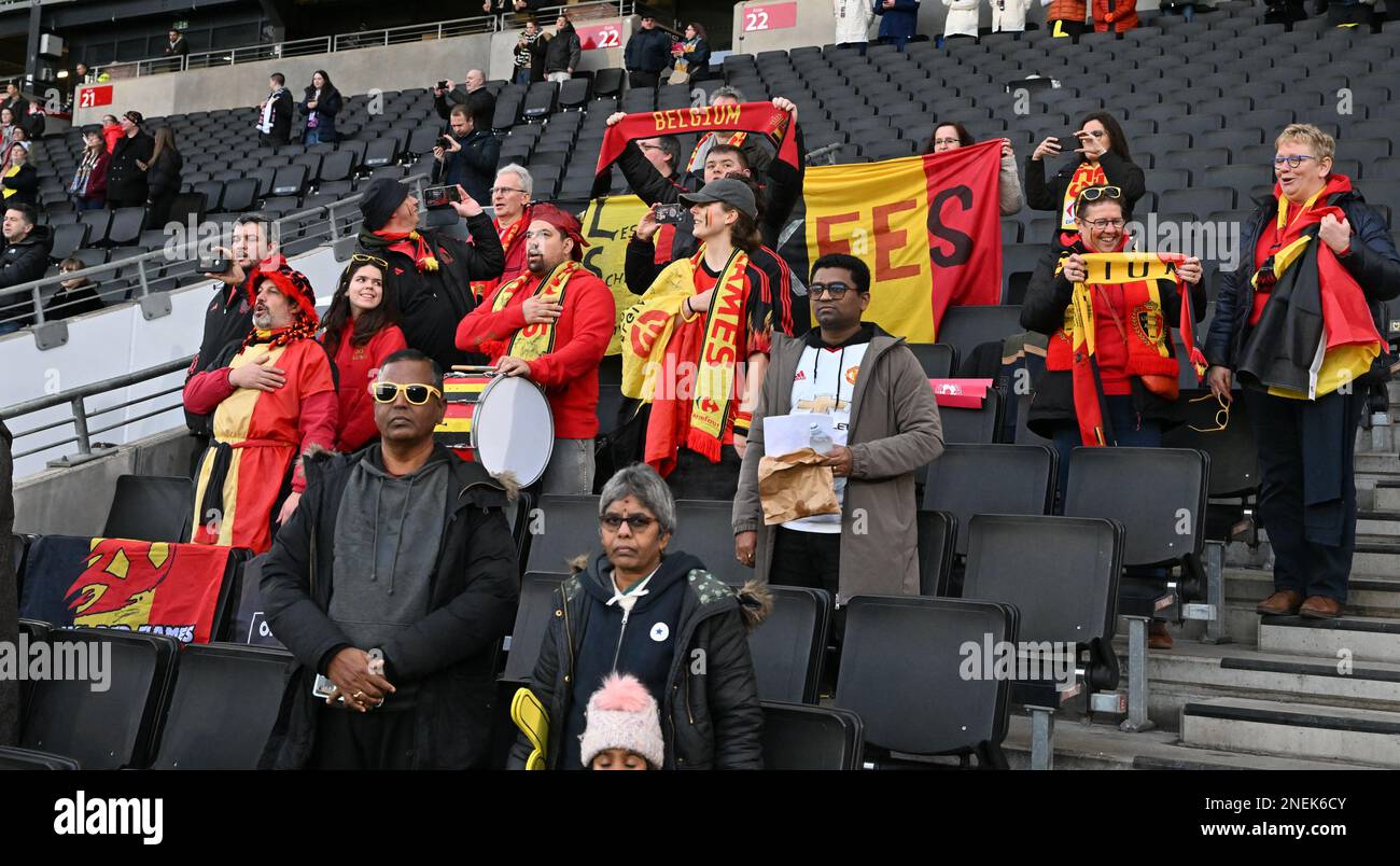 Les fans et supporters belges photographiés lors d'un match de football ...