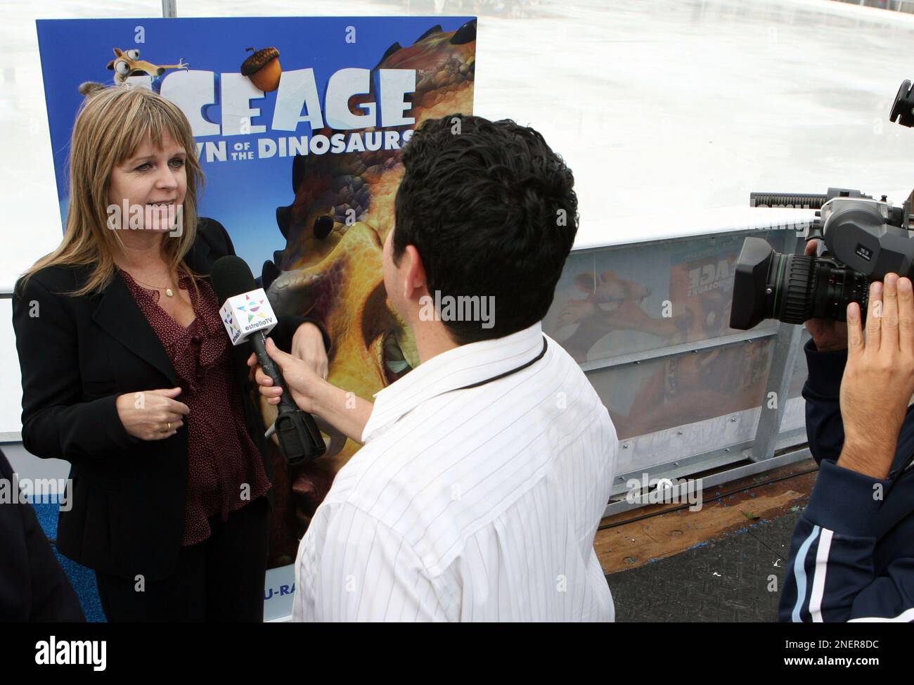Mary Daily, Executive Vice President of Marketing Fox Home ...
