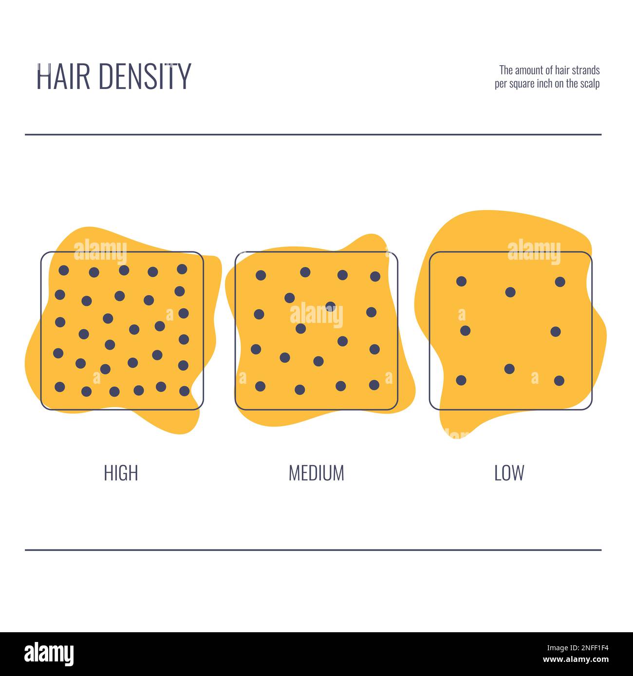Les types de densité de cheveux sont un tableau de faible, moyen, haut ...