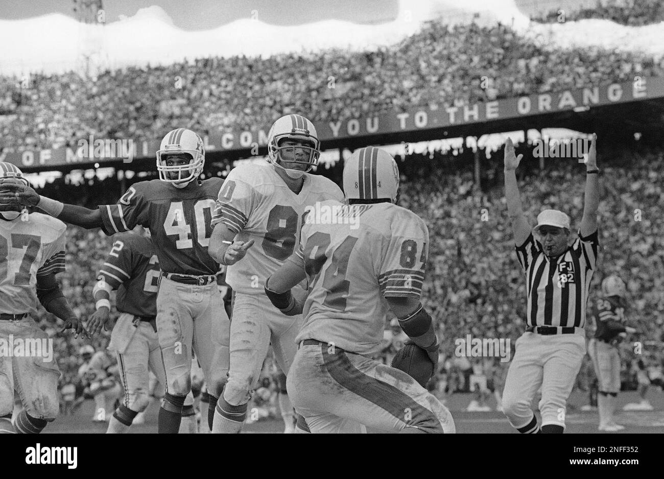 Miami Dolphin tight end Bruce Hardy (84) hangs onto the ball after ...