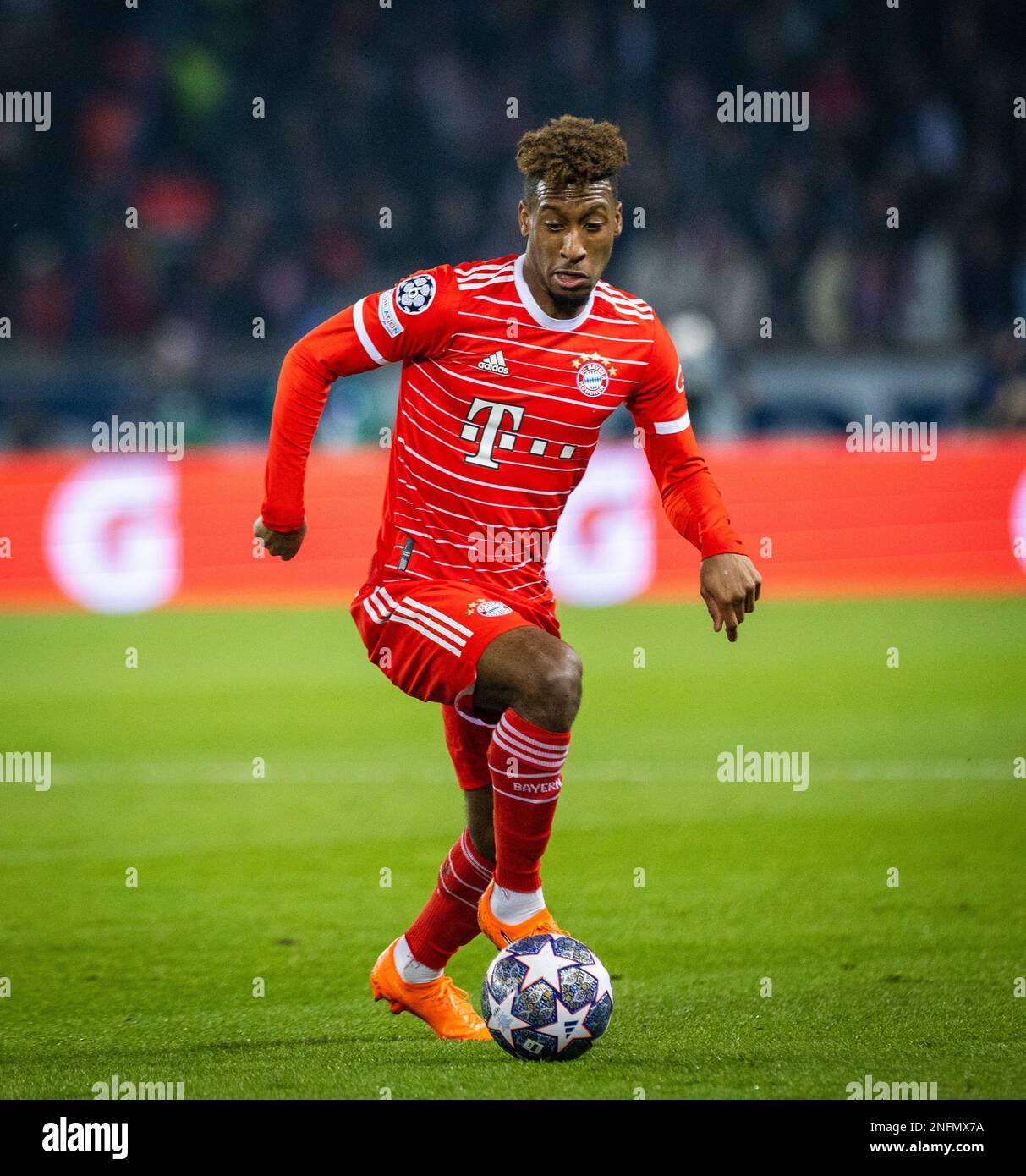 Paris, France. 14th févr. 2023. Kingsley Coman (Muenchen) Paris Saint ...