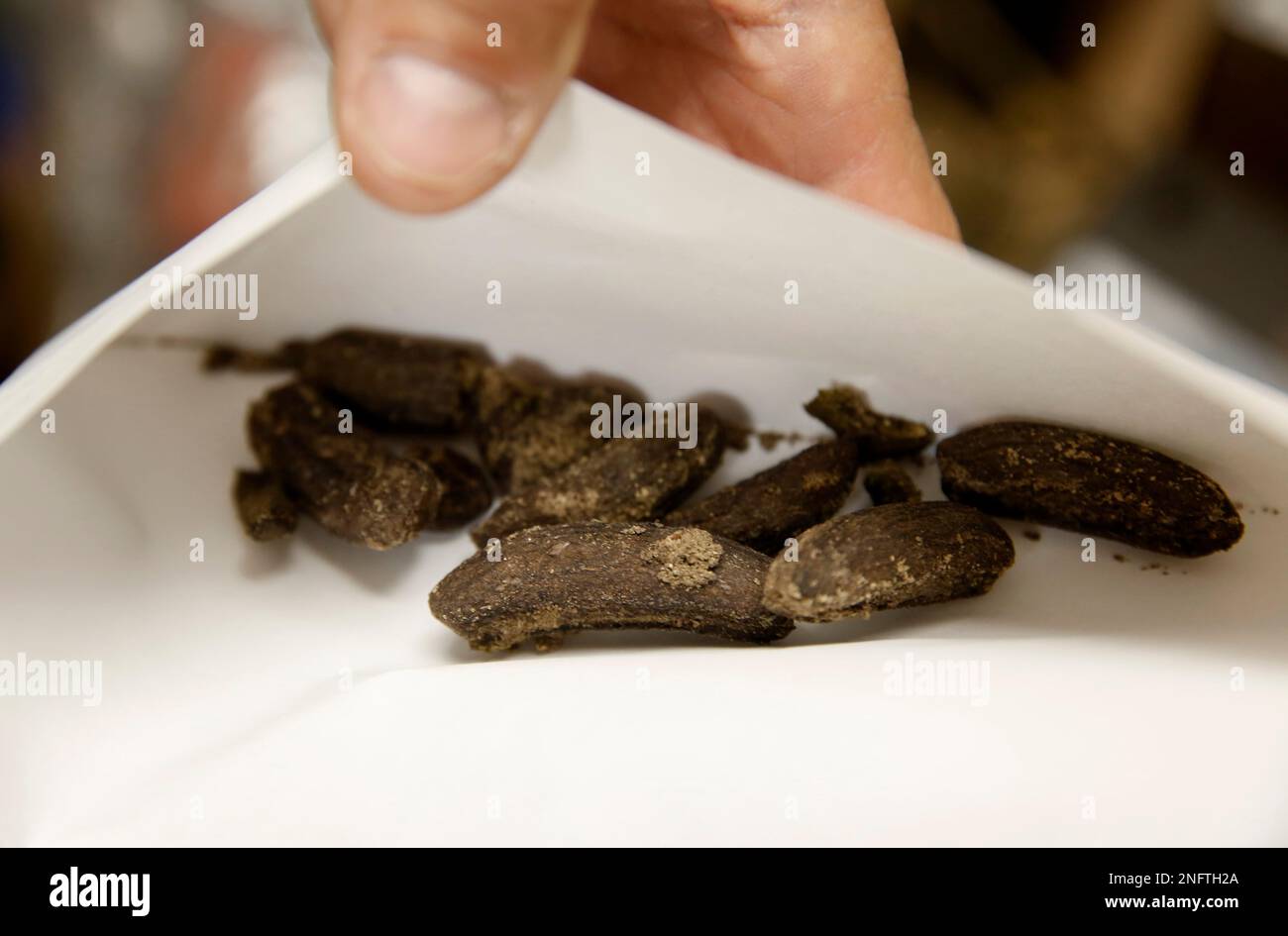 Greg Gerstenberg, senior biologist with the California Department of ...